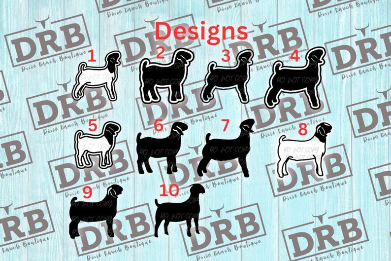 Custom Boer Goat Sign , Show Goat Stall Sign Sublimation Printed for ...