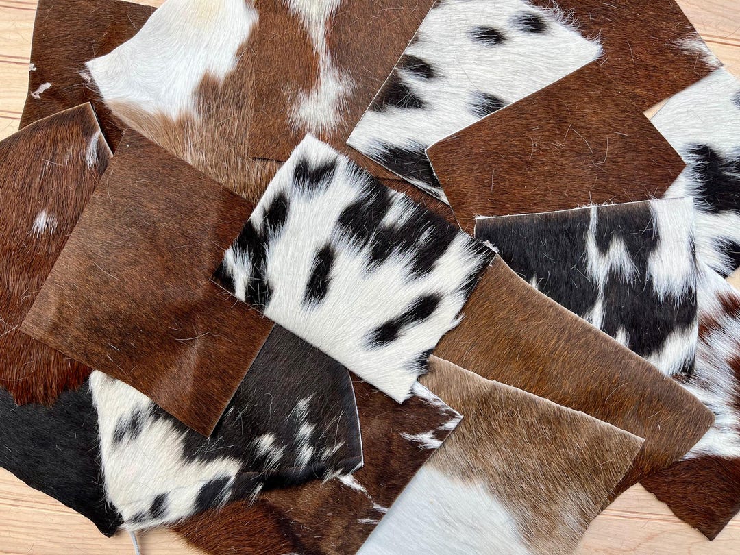 Genuine Cowhide Scrap Square for Branding Practice , Hair on Swatch ...