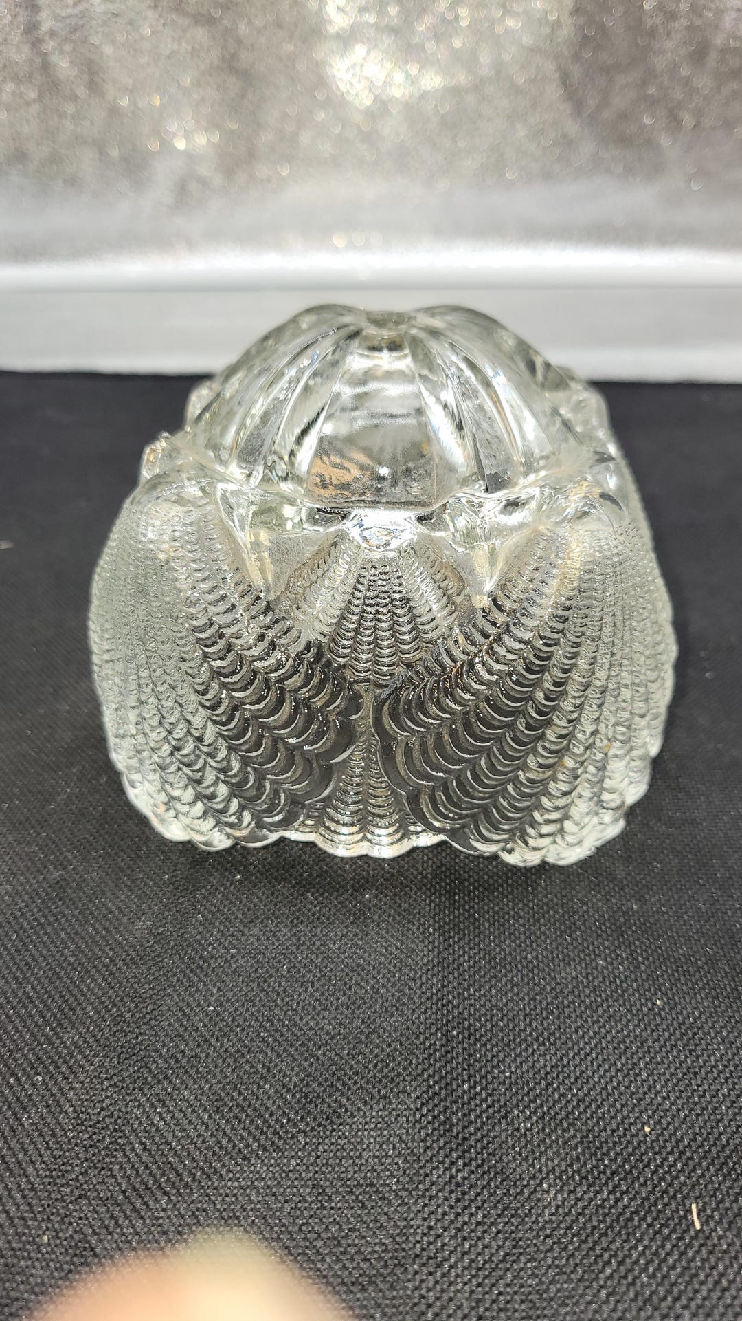 Vintage Clear Glass Sea Shell Shade for Belle Lady Boudoir Hollywood ...