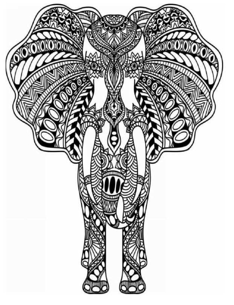Detailed Animal Coloring Pages - Etsy