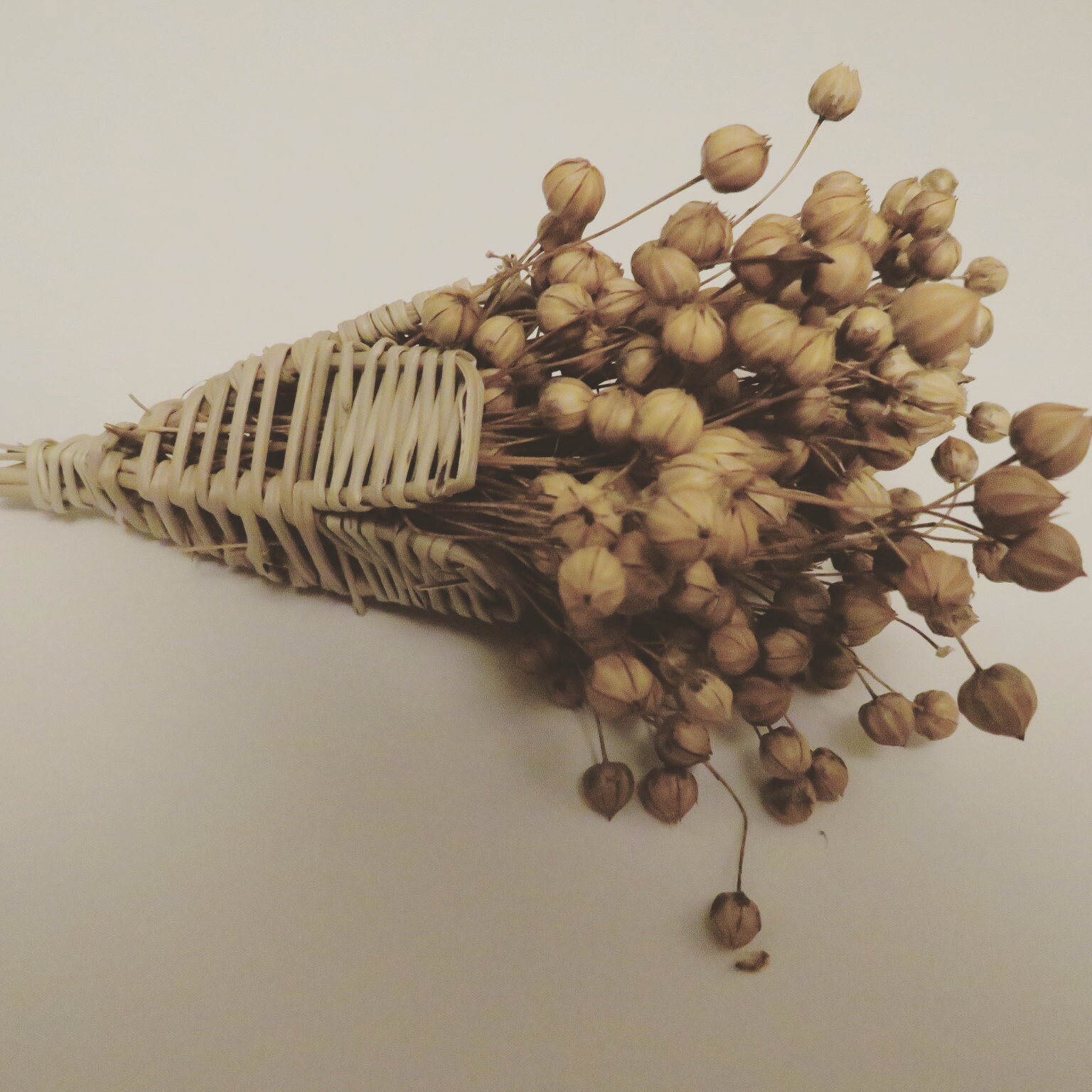 Flax Spray Dried Flax Stems Hamster Flax Bird Flax UK - Etsy