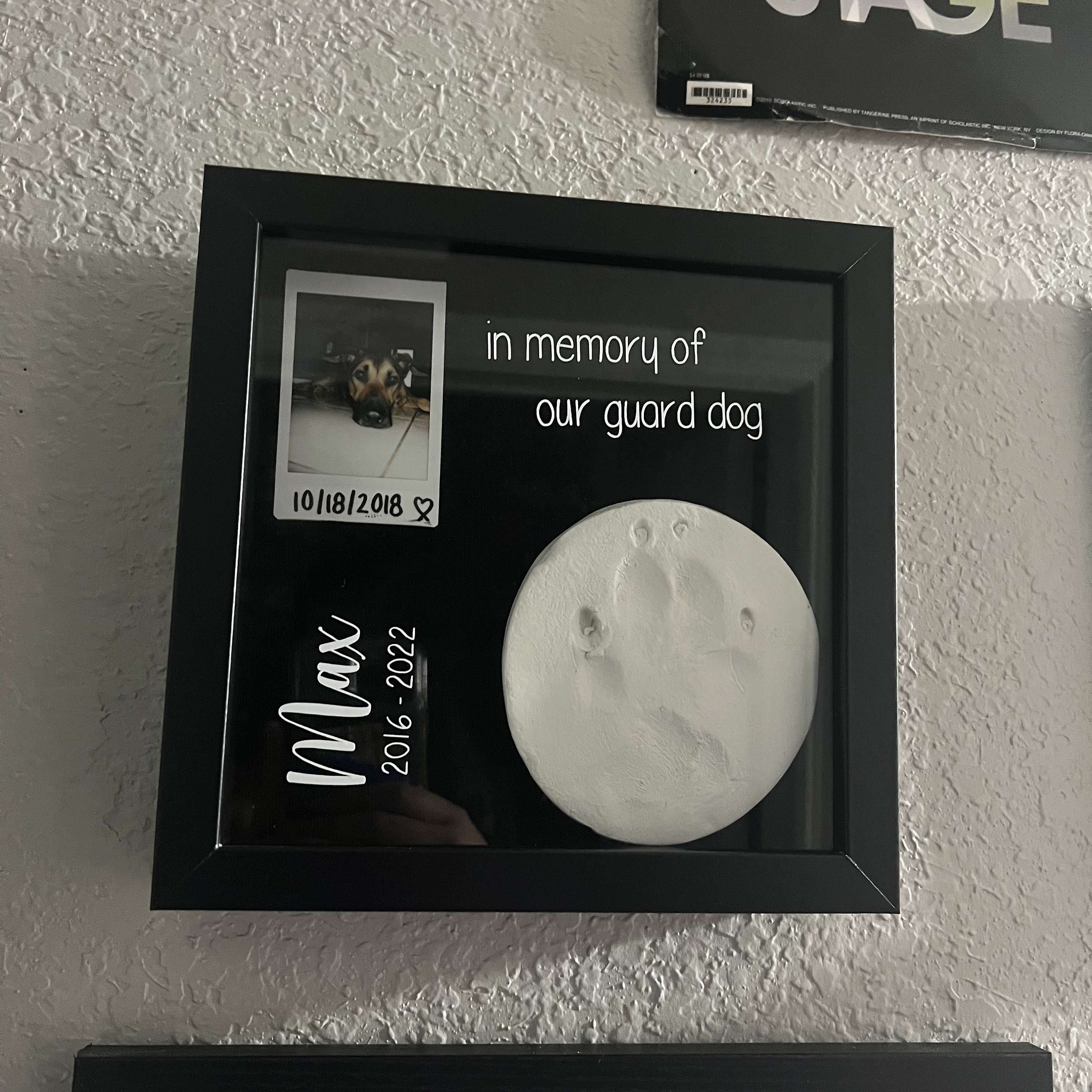 Custom Pet Momento Display - Etsy