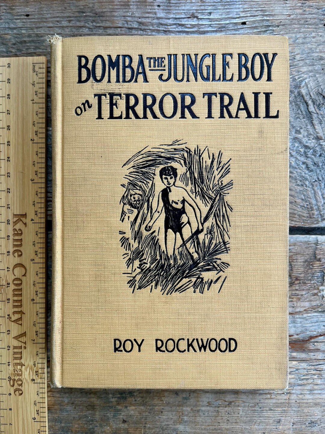 Very Good Vintage 1934 Printing of "bomba the Jungle Boy on Terror ...