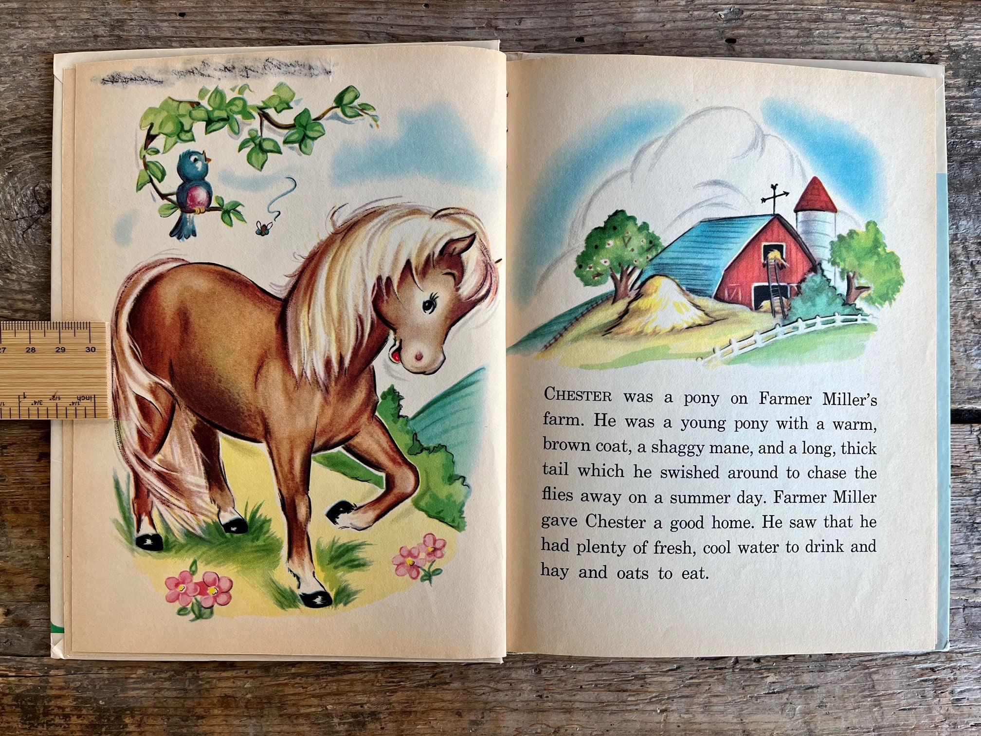 Sweet Vintage Children's Book 1951 chester the Little Pony by Eman ...