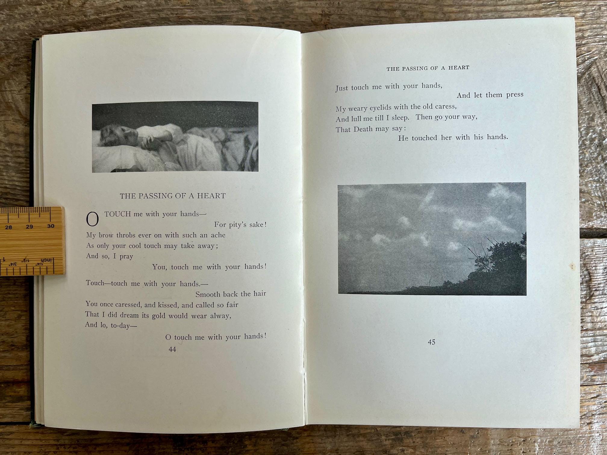 James Whitcomb Riley's Poetry, Plus William B. Dyer's Photos = Match ...