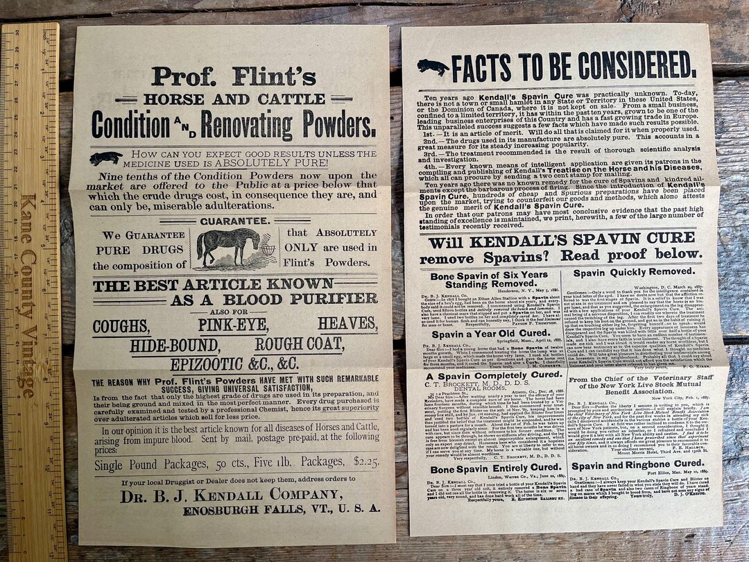 Very Cool Original (1889) Set of Two Horse-related Ads, Double Sided ...