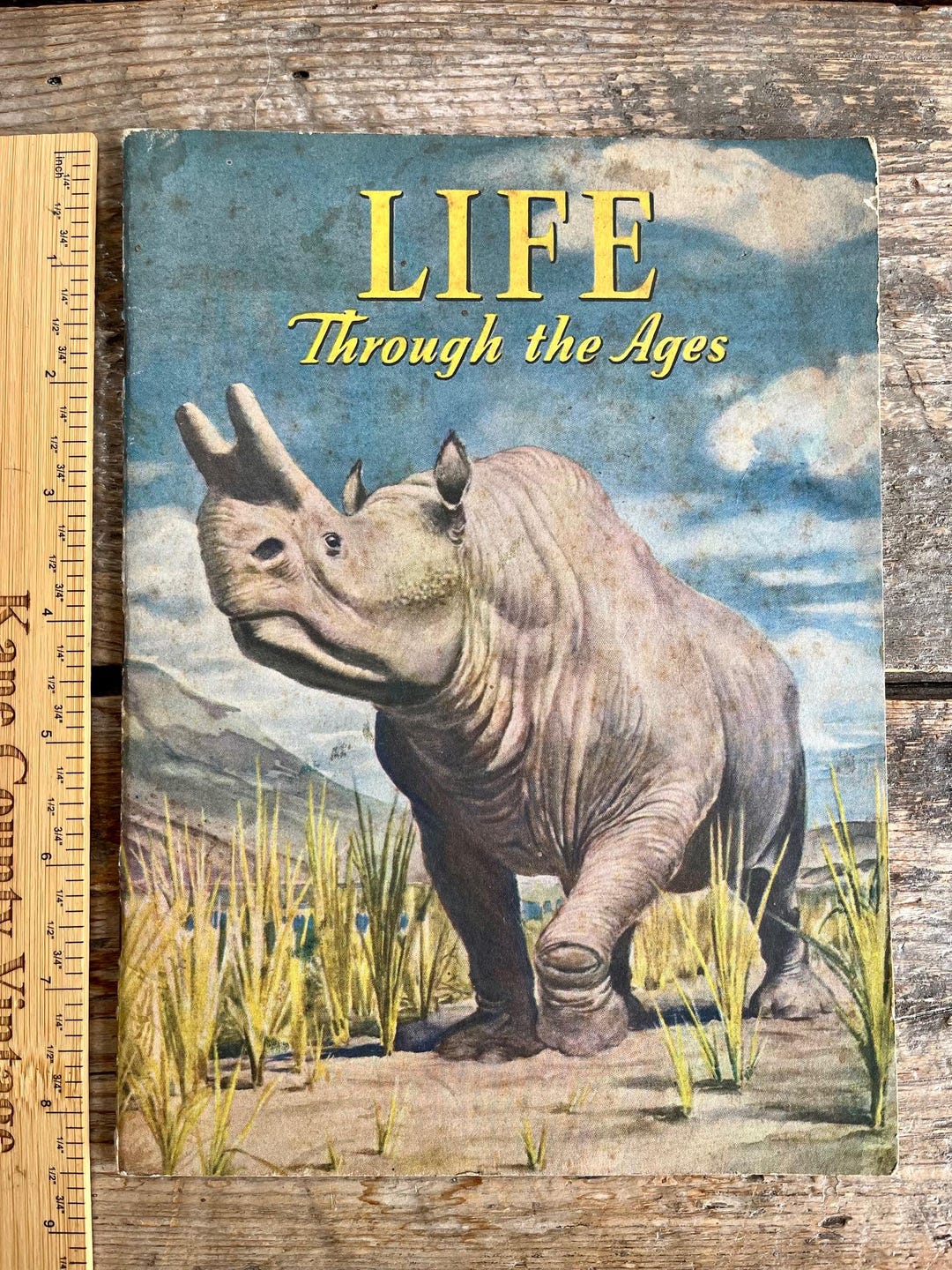 Fun Vintage (1952) Science Book for Children "life Through the Ages" by ...