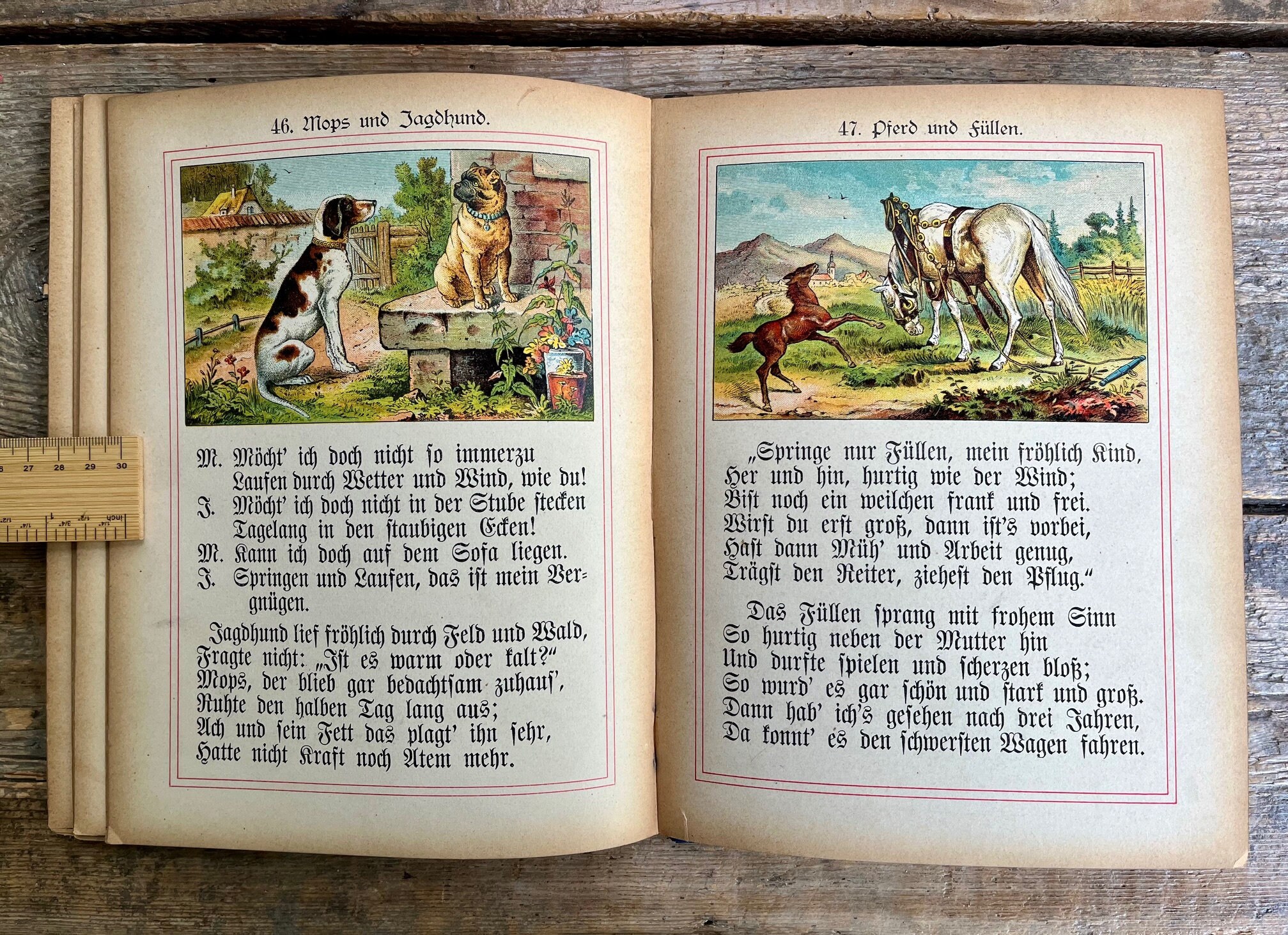 Rare German Antique Book (1880s) 50 Fables for Children "fünfzig Fabeln ...