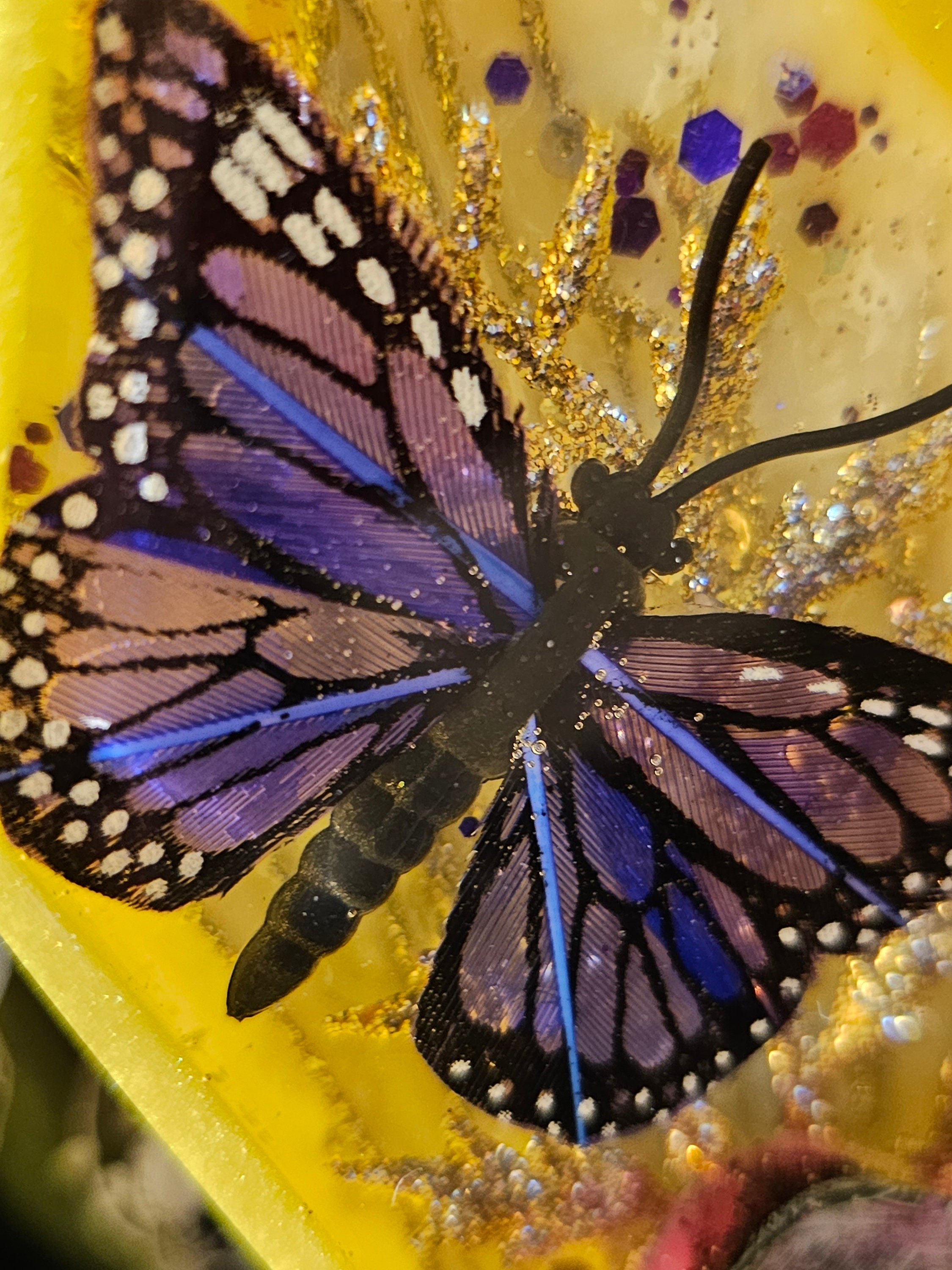 Butterfly Coffin Diorama - Etsy