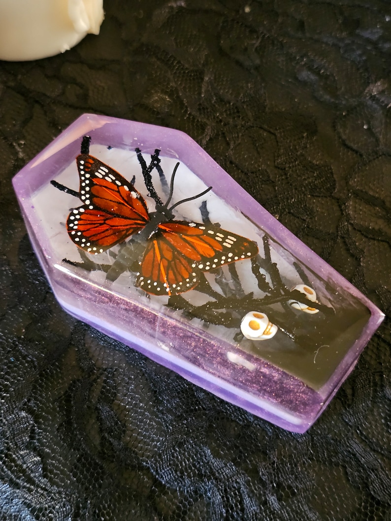 Butterfly Coffin Diorama - Etsy