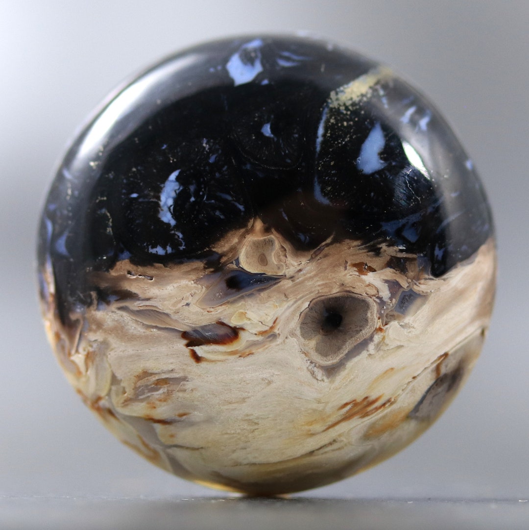 Polished Palm Root Fossil Petrified Wood Cabochon, Round Stone Pendant ...