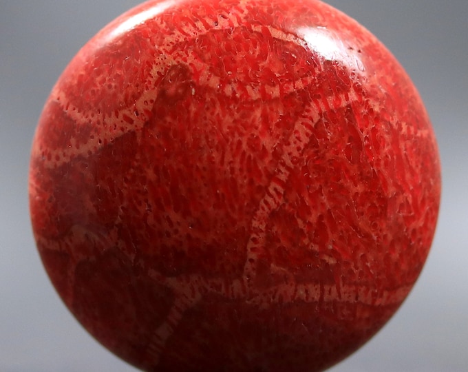 Red Coral Cabochon - Round Coin Shape Artisan Pendant Setting - Etsy