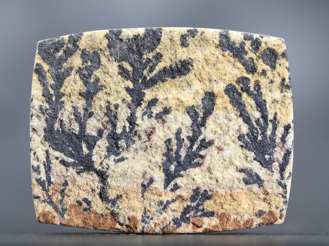 Dendritic Limestone Cabochon Wire Wrapped Jewelry Supply - Etsy