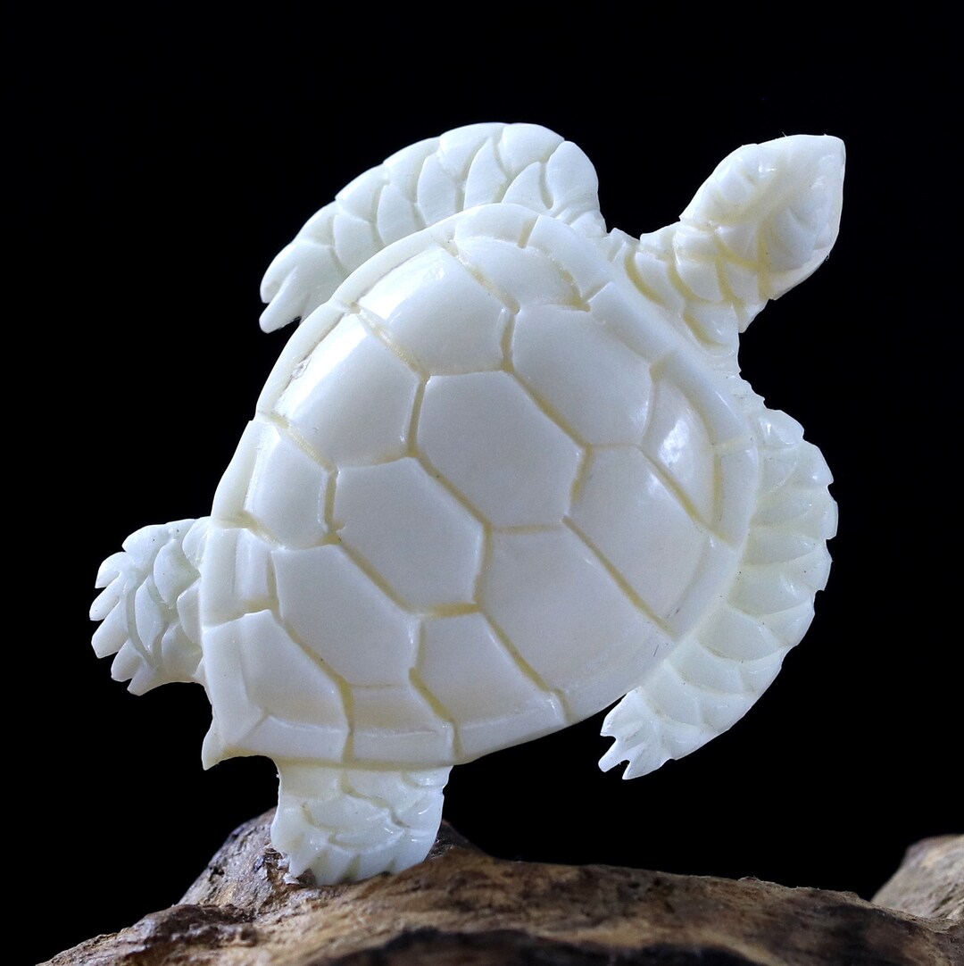 Hand Carved Bone Turtle Cabochon Realistic Sculpture Ocean Theme ...