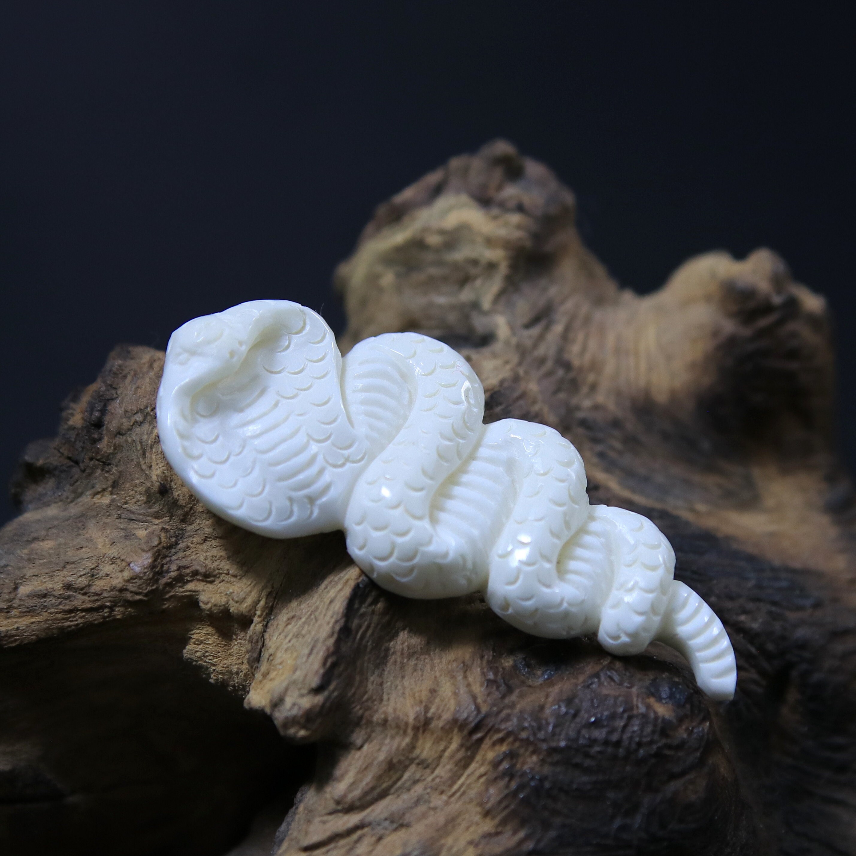 Cobra Snake Cabochon Bone Carving DIY Jewelry Making - Etsy