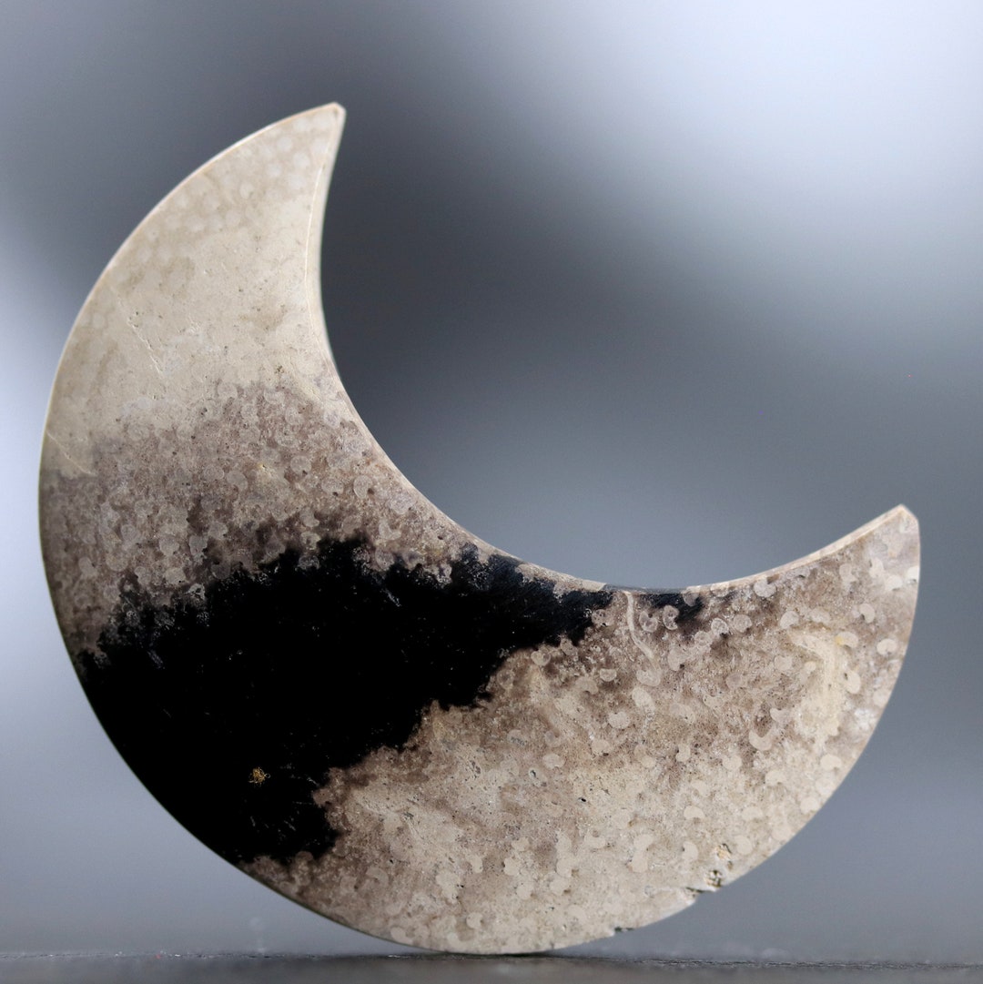 Agatized Palm Root Crescent Moon Cabochon, Bohemian Jewelry Design - Etsy