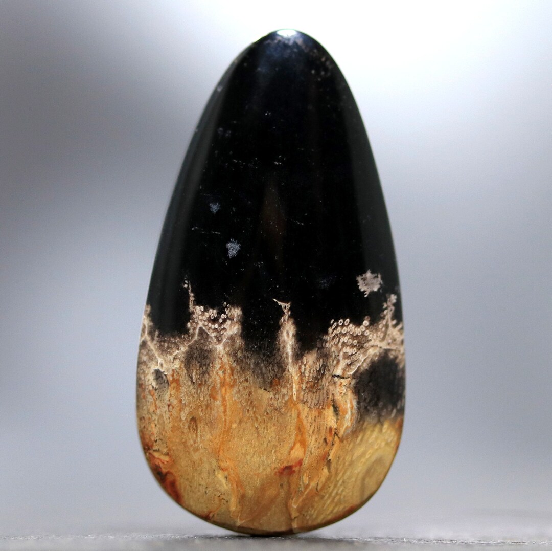 Petrified Palm Root Flame Cabochon Semiprecious Stone - Etsy