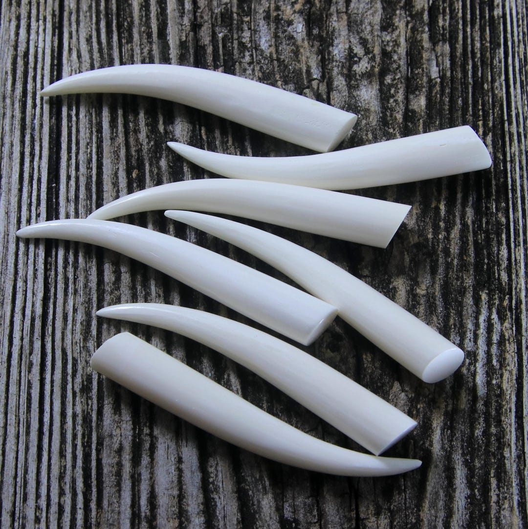 1 Piece Carved Water Buffalo Bone Cabochon Tusk Shape DIY Men Jewelry ...