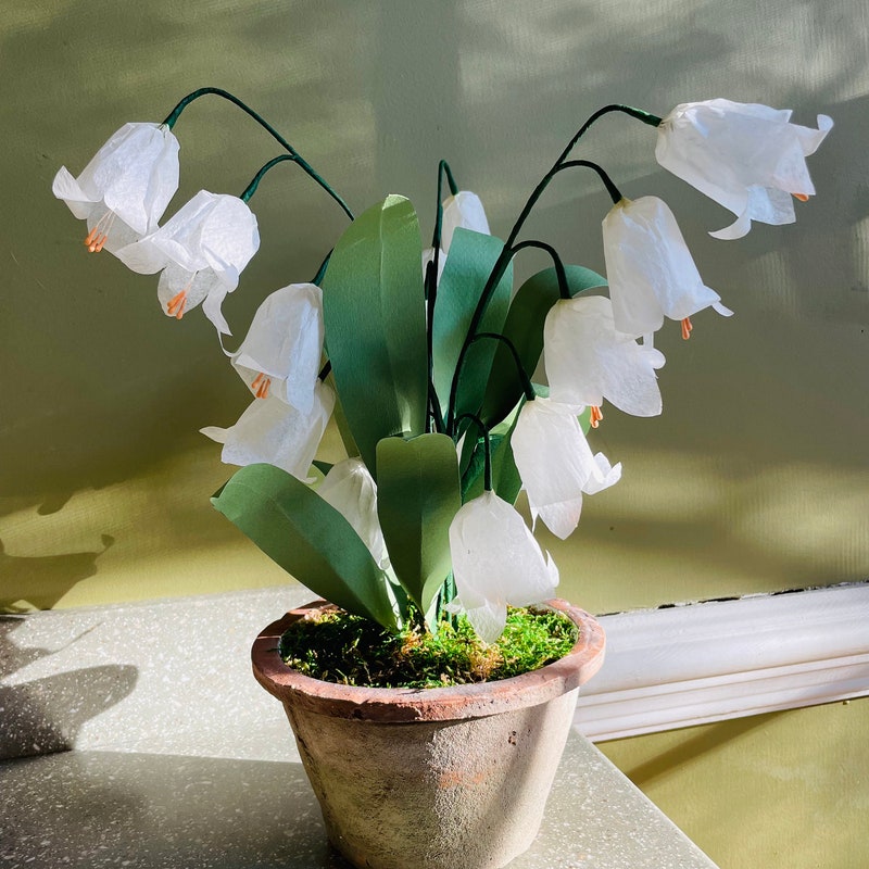 Paper Lily - Etsy