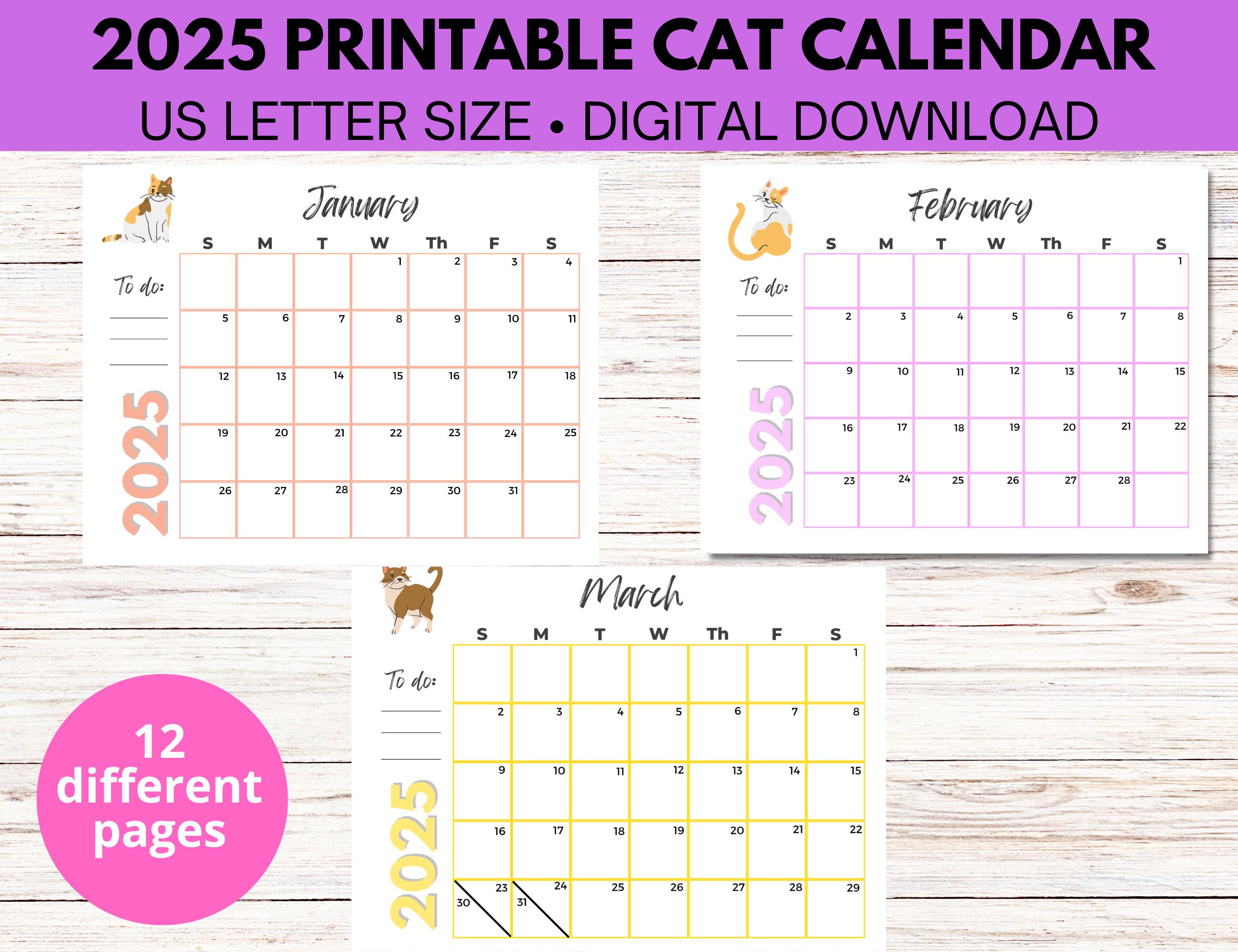 2025 Cat Calendar, Cat Calendar With Numbers, Printable Calendar 2025 ...