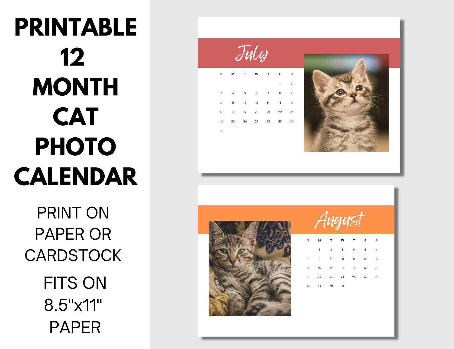 2024 Cat Printable Calendar, 2024 Printable Cat Calendar, Printable Cat ...