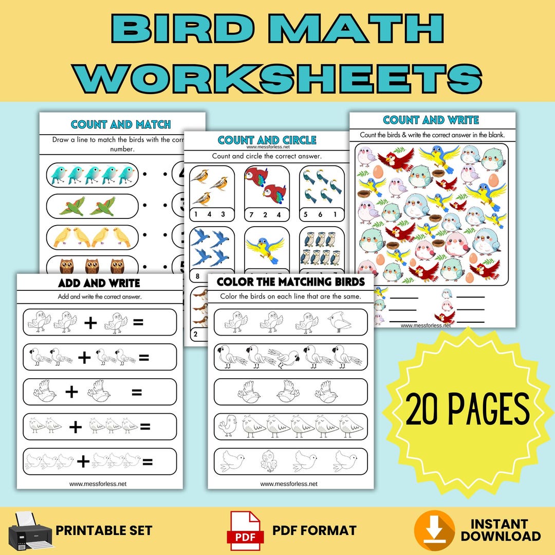 Bird Math Worksheets for Spring or Anytime, 20 Printable Pages ...