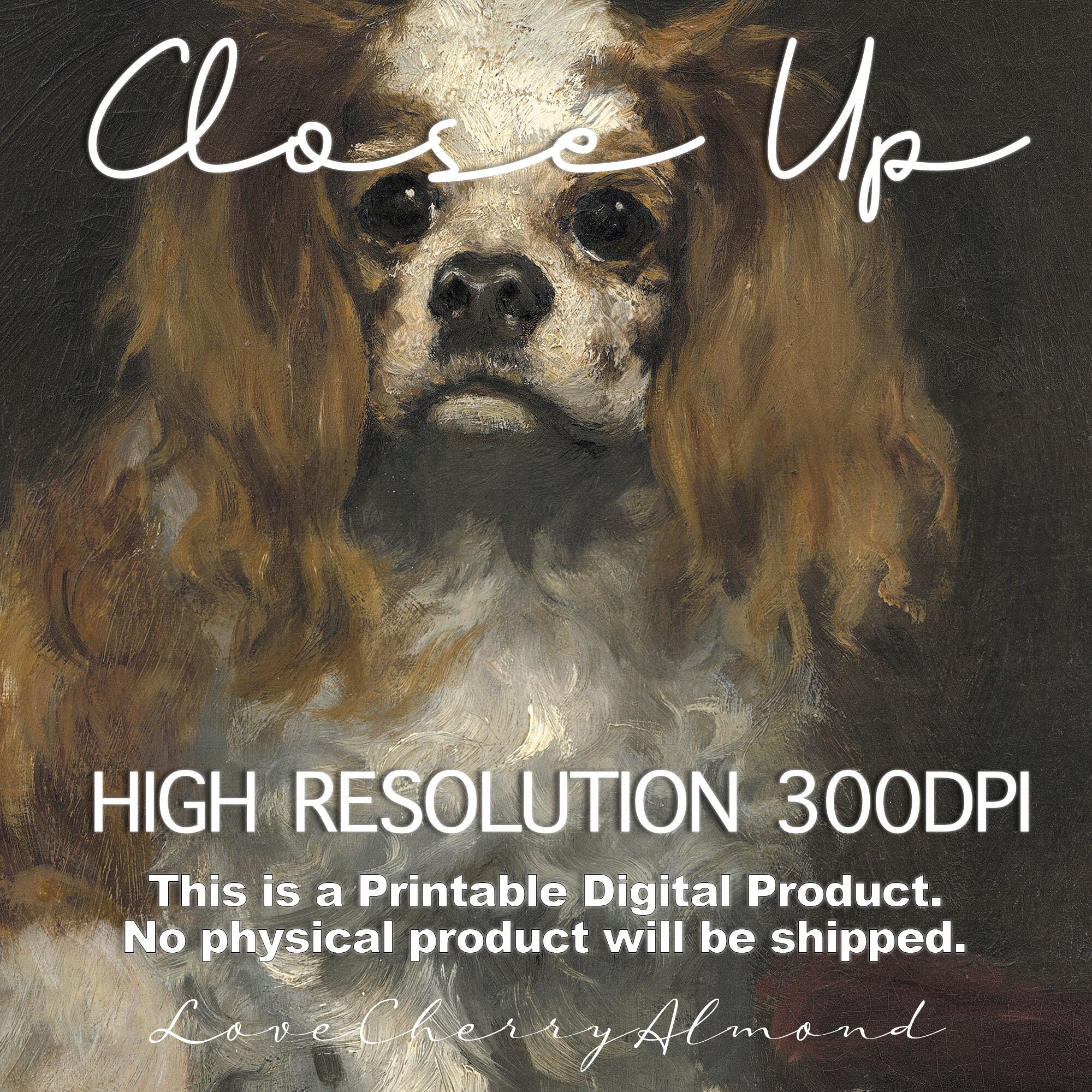 Édouard Manet a King Charles Spaniel Printable Poster Digital Files ...