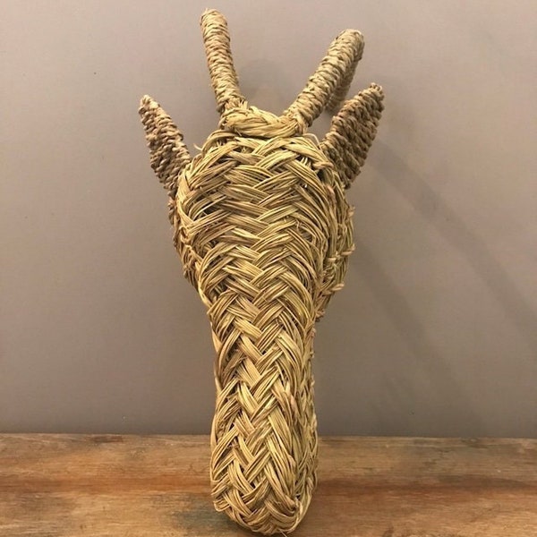 Fake Animal Head - Etsy