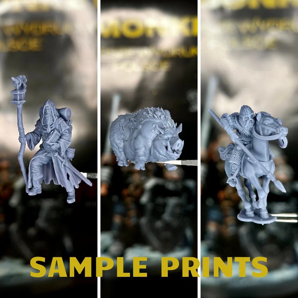 Dark Elf Talon 5 X1 8K Printed RPG Miniature Dnd - Etsy