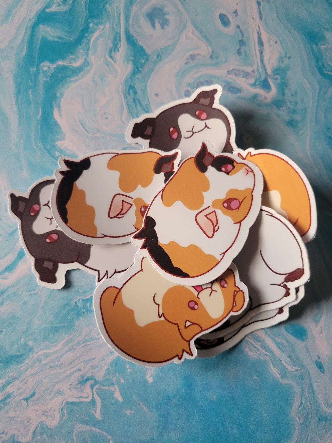 Chunky Guinea Pigs Sticker Pack - Etsy