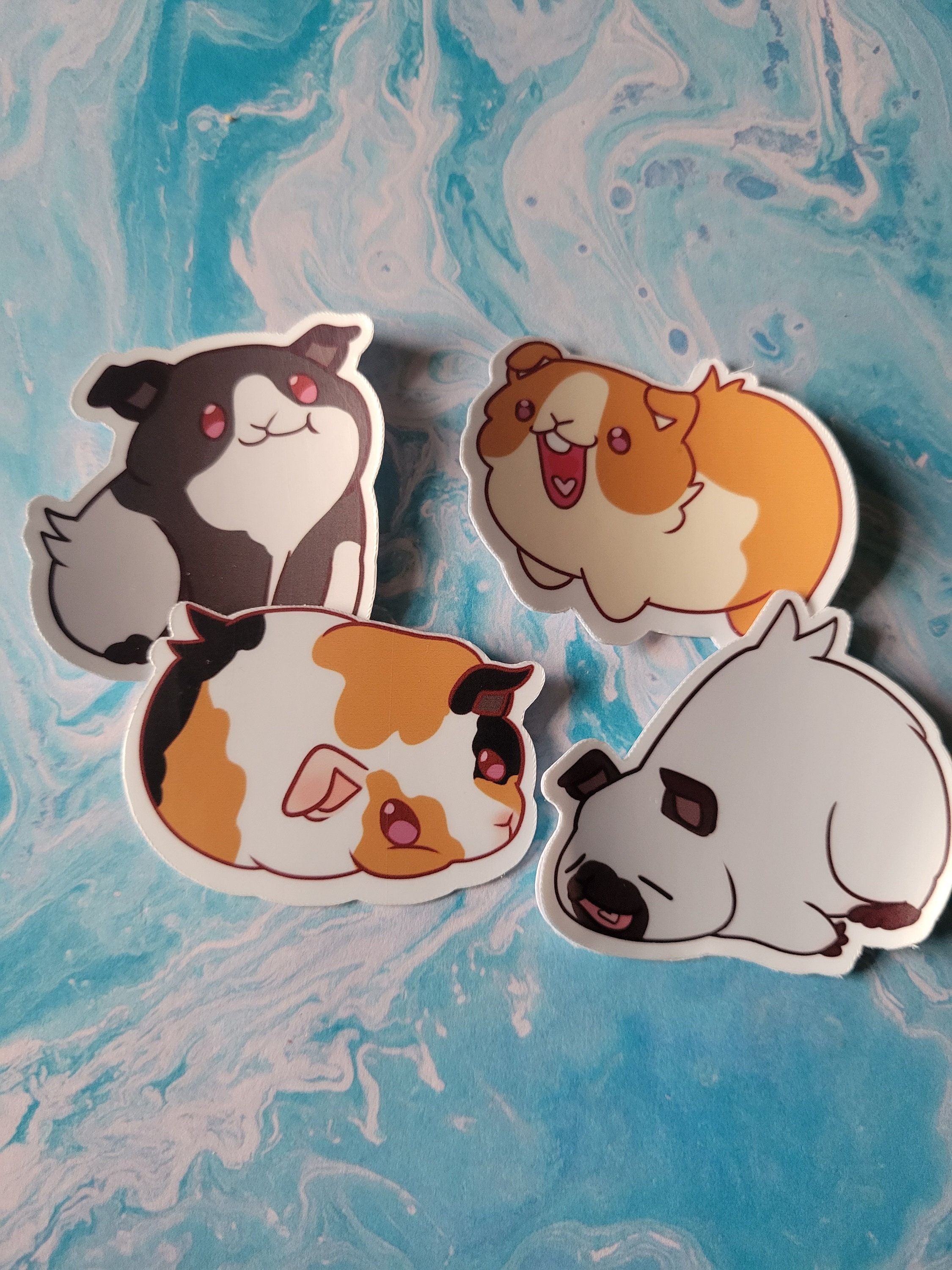 Chunky Guinea Pigs Sticker Pack - Etsy