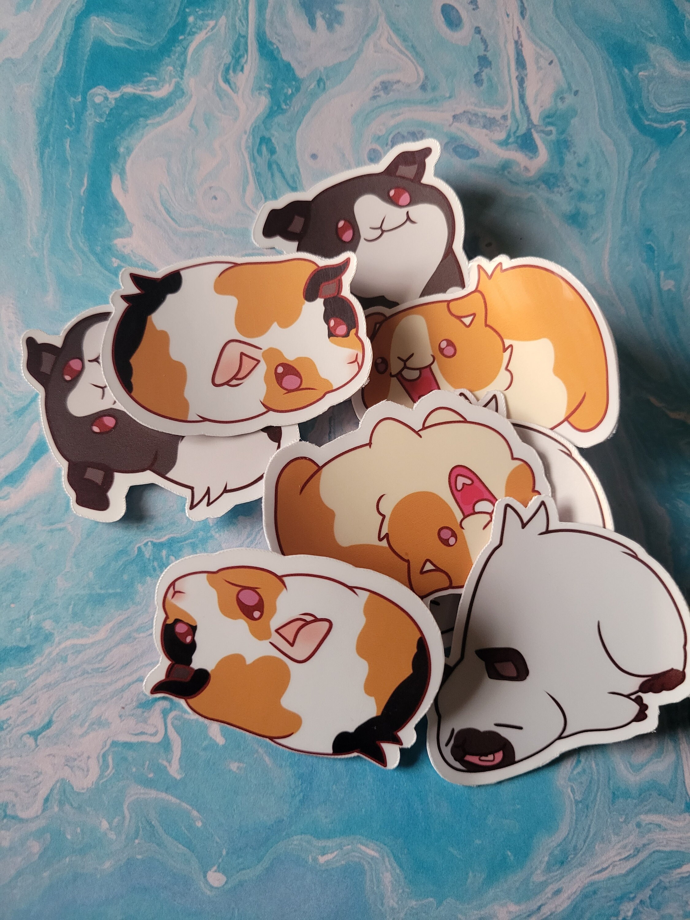 Chunky Guinea Pigs Sticker Pack - Etsy