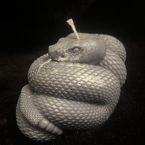 Coiled Snake Sculpted Candle - Etsy