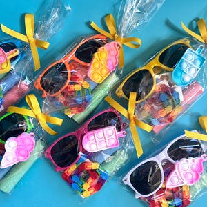Pool Party Favor Gift Bag With Sunglasses Pool Party Beach Bundle for ...