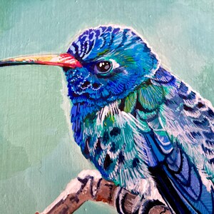 ORIGINAL Hand-painted Acrylic Painting HUMMINGBIRD Bird Realistic 8"x8 ...