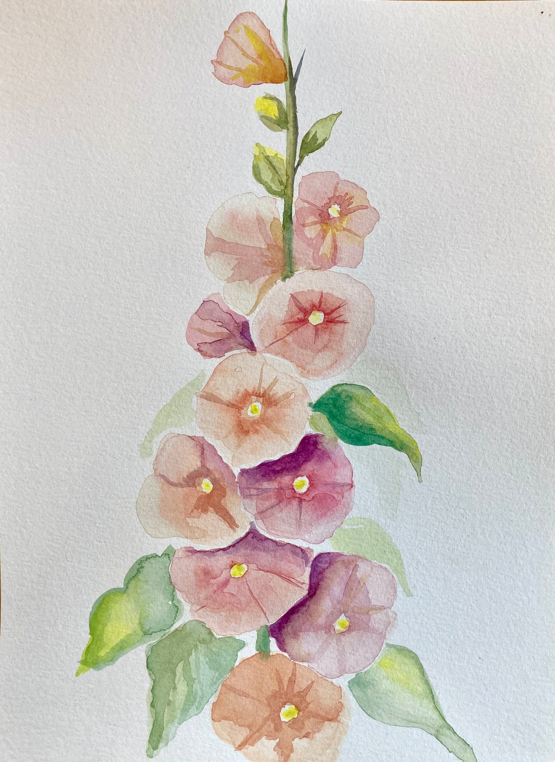 Original Watercolor Painting "heavenly Hollyhocks" 9"x12" - Etsy
