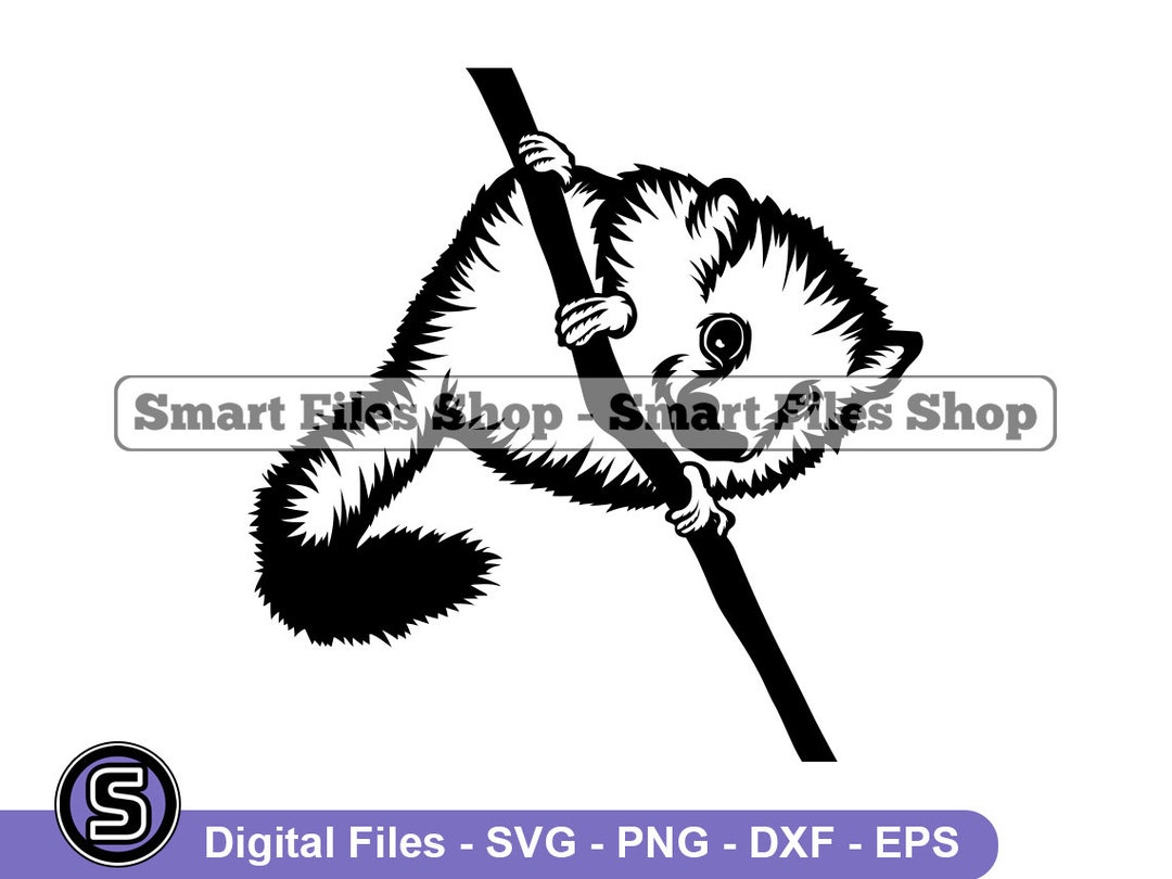 Dormouse #2 SVG, Animals Svg, Mouse Svg, Dormouse Dxf, Dormouse Png ...