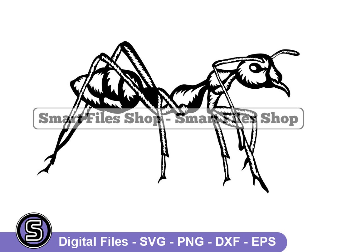 Ant 2 Svg, Ant Svg, Insect Svg, Ant Design Svg, Ant Dxf, Axolotl Png ...
