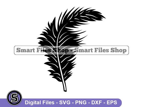 Feather SVG Feather Design Svg Feather Dxf Feather Png - Etsy