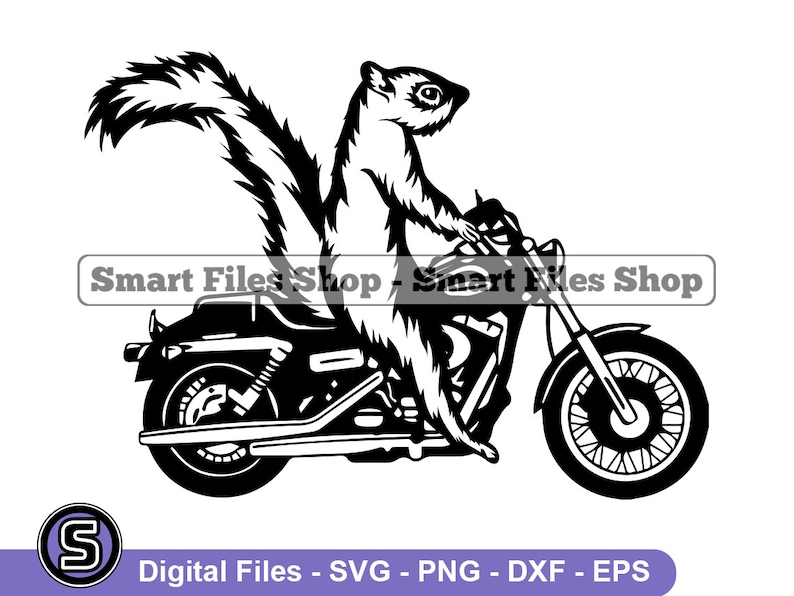 Squirrel Riding Motorcycle SVG, Motorcycle Svg, Biking Svg, Motorcycle ...