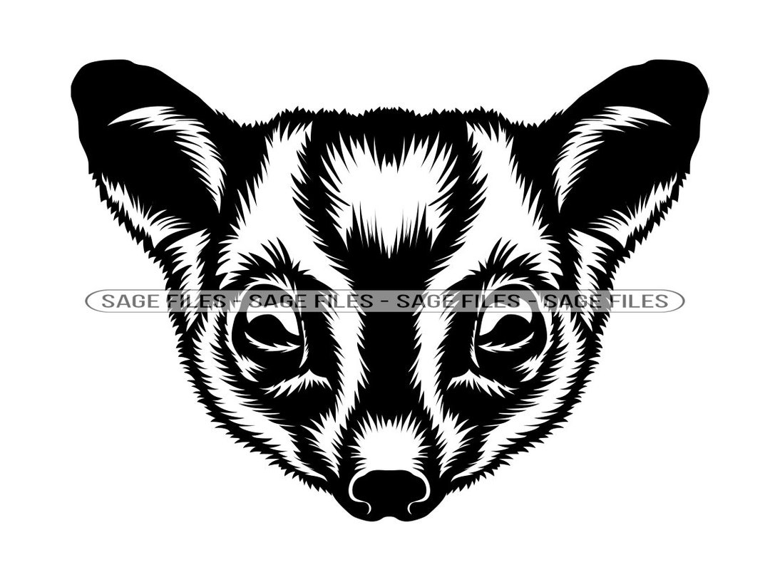 Sugar Glider Mascot SVG, Sugar Glider Face SVG, Sugar Glider Head Svg ...