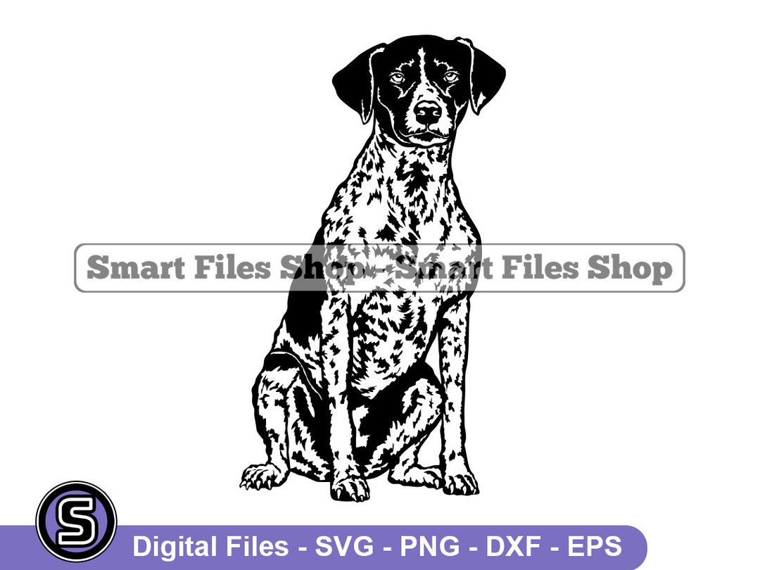 Sitting Pointer SVG, Pointer Svg, Dog Svg, Pointer Dxf, Pointer Png ...