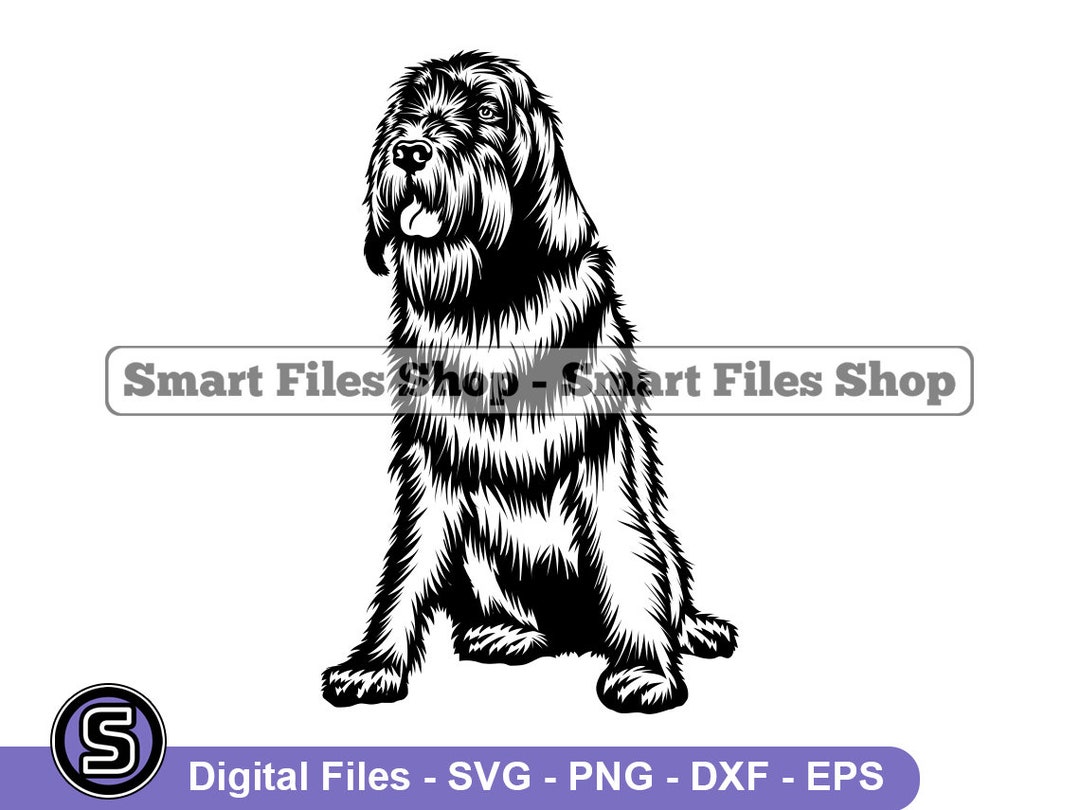 Sitting Wirehaired Pointing Griffon SVG, Wirehaired Pointing Griffon ...