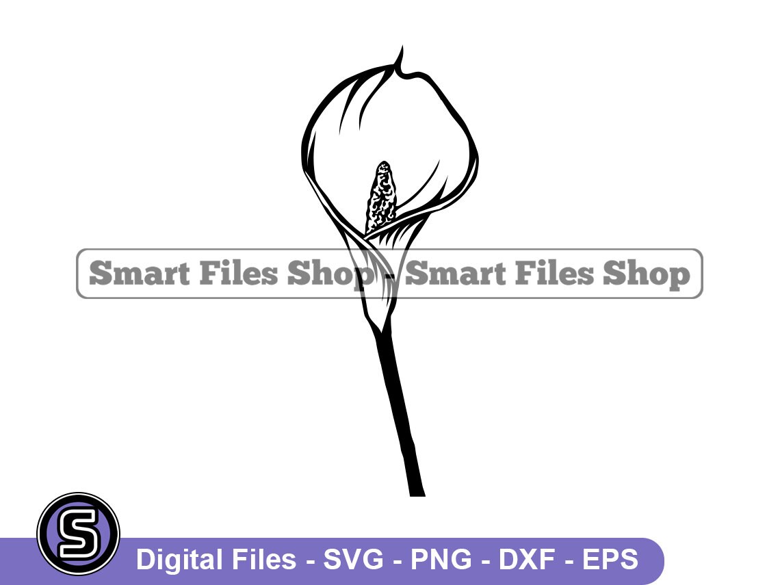 Calla Lily Flower Svg Flower Svg Floral Svg Flower Dxf - Etsy