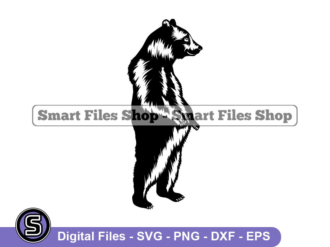 Standing Bear Funny Svg Bear Svg Funny Bear Svg Bear Dxf - Etsy