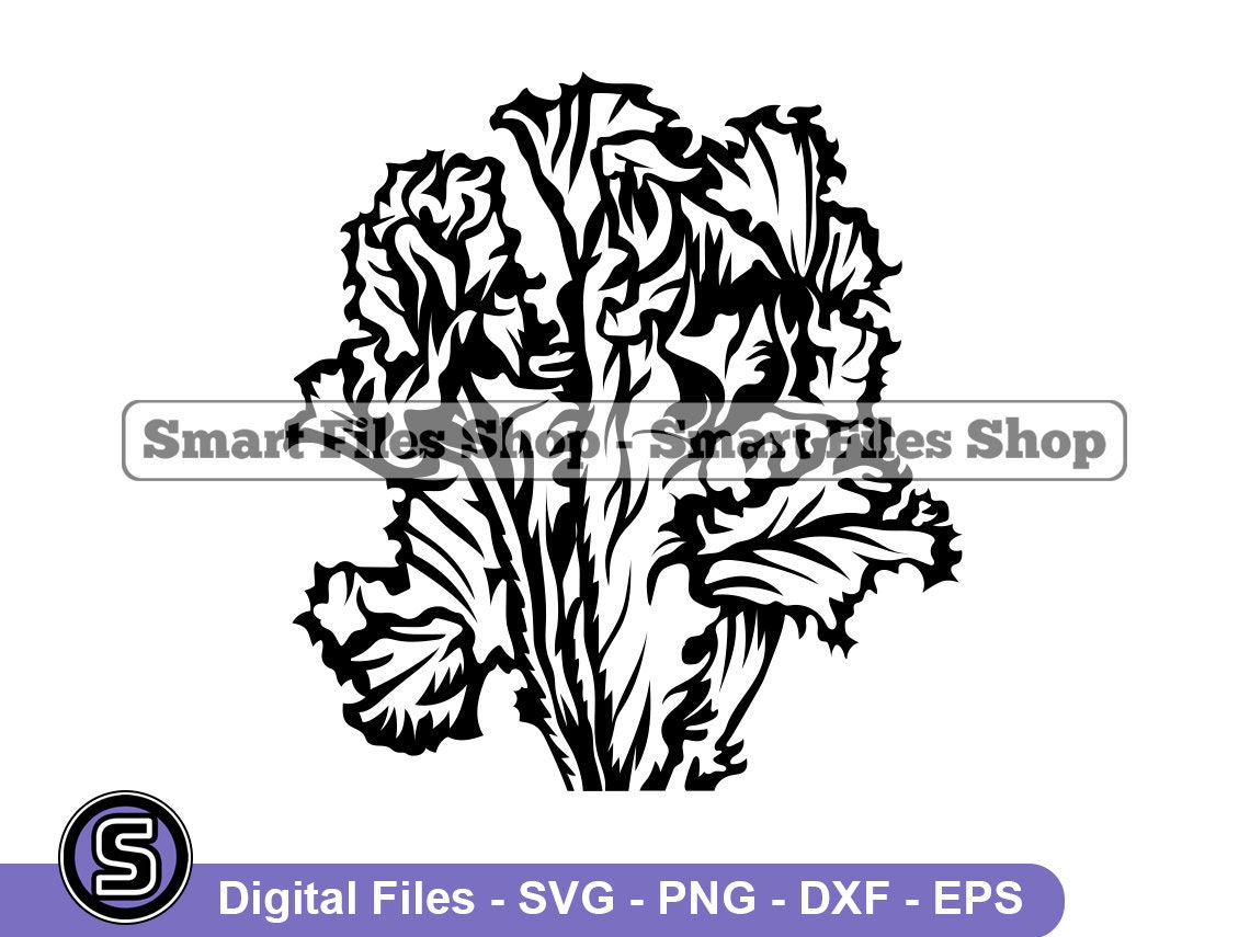 Lettuce Svg Vegetables Svg Lettuce Dxf Lettuce Png Lettuce - Etsy