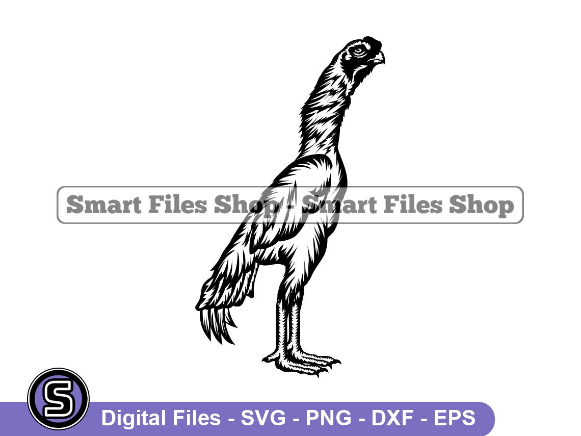 Shamo Rooster Svg Rooster Dxf Rooster Png Rooster Clipart - Etsy