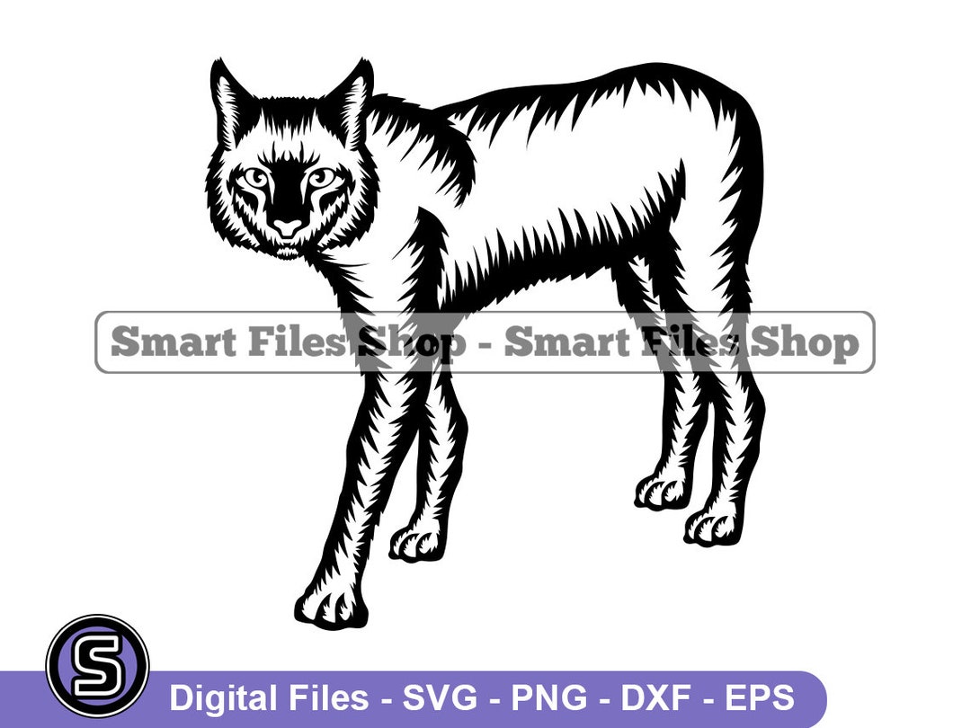 Bobcat 2 SVG, Bobcat SVG, Forest Creatures Svg, Bobcat Dxf, Bobcat Png ...