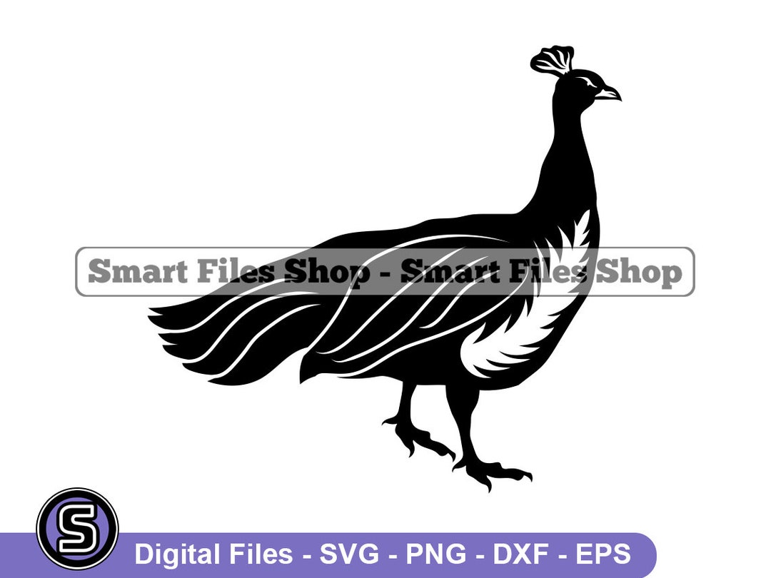 Pavo real 6 svg, pavo real svg, pavo real svg, pavo real dxf, pavo real ...