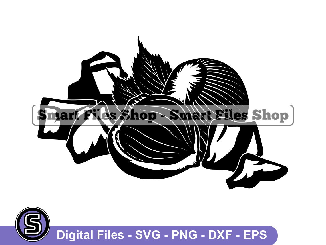 Hazelnut Chocolate Svg Hazelnut Svg Chocolate Svg Hazelnut | Etsy